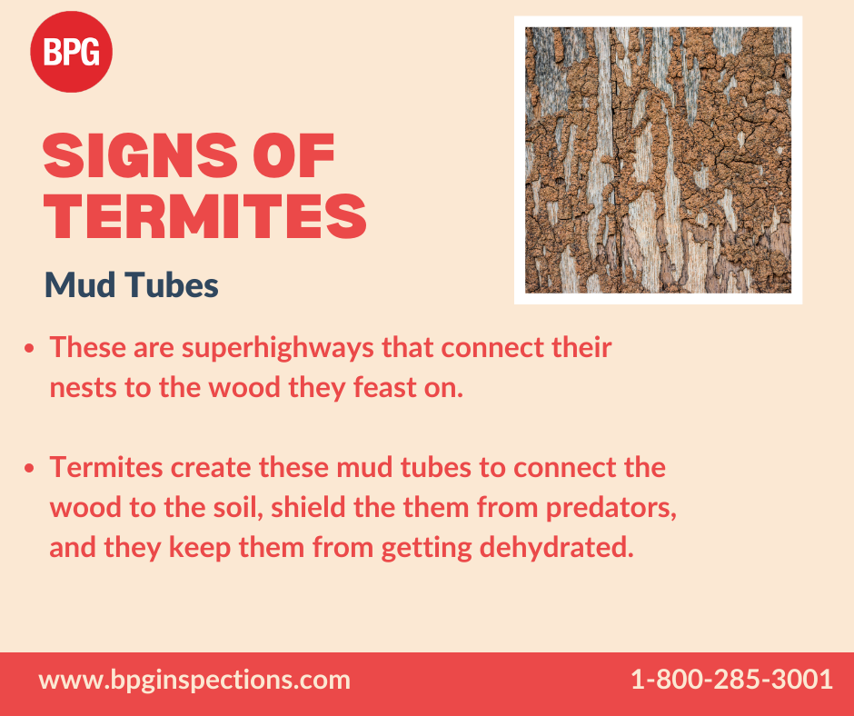 Home - BPG Inspections